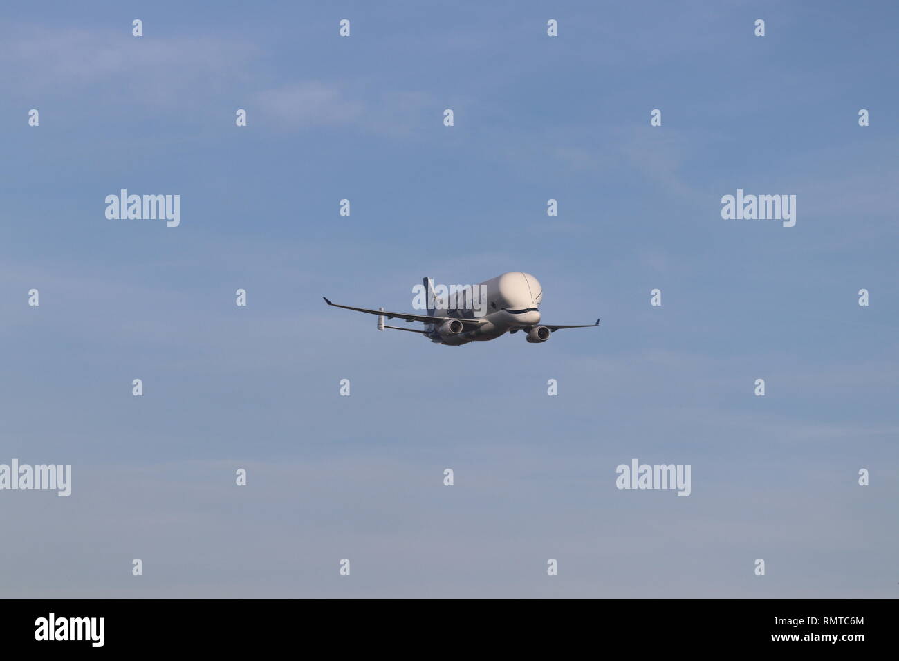 The new Airbus Beluga XL lands in North Wales for the first time, the ...