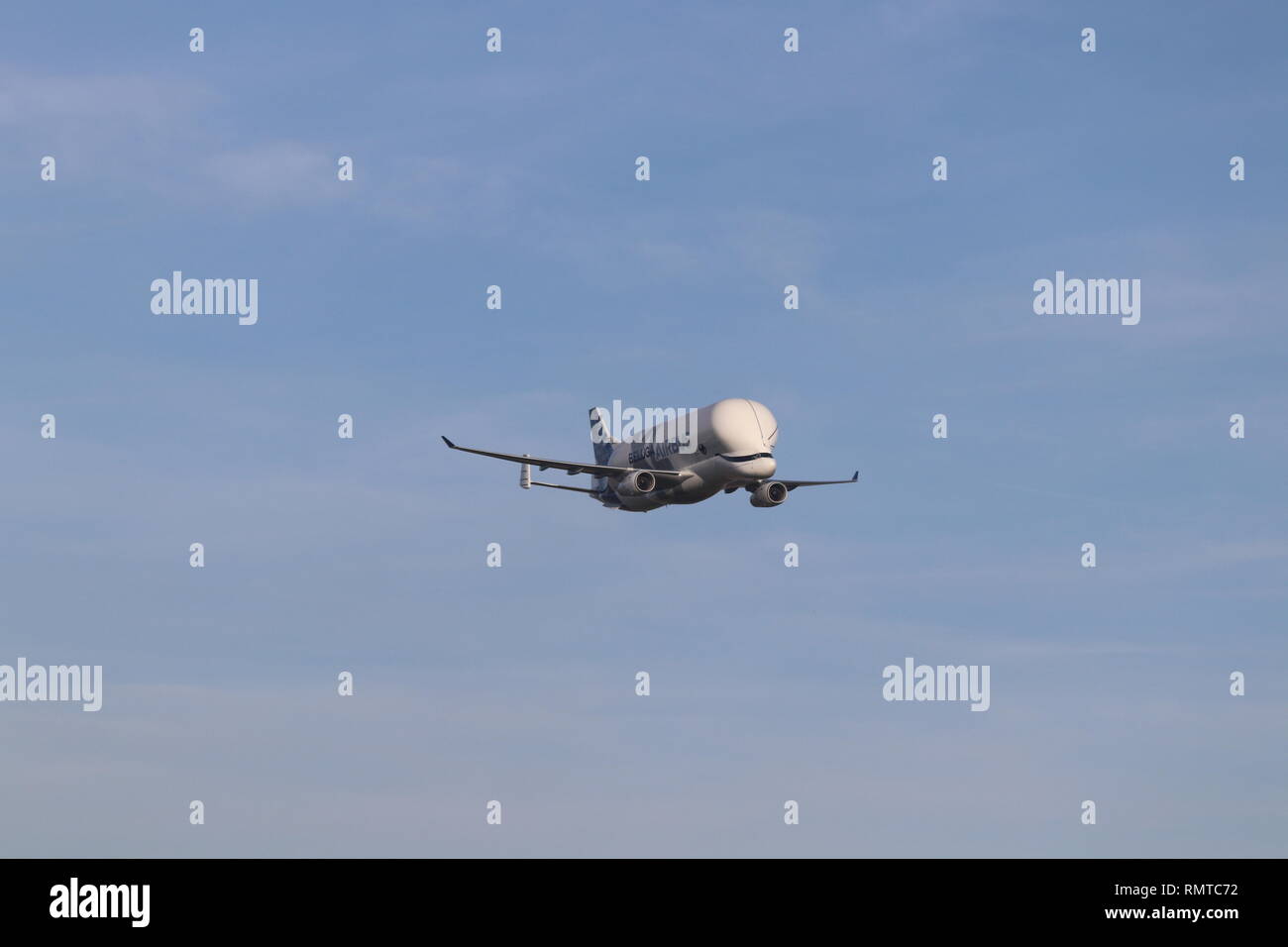 The new Airbus Beluga XL lands in North Wales for the first time, the ...