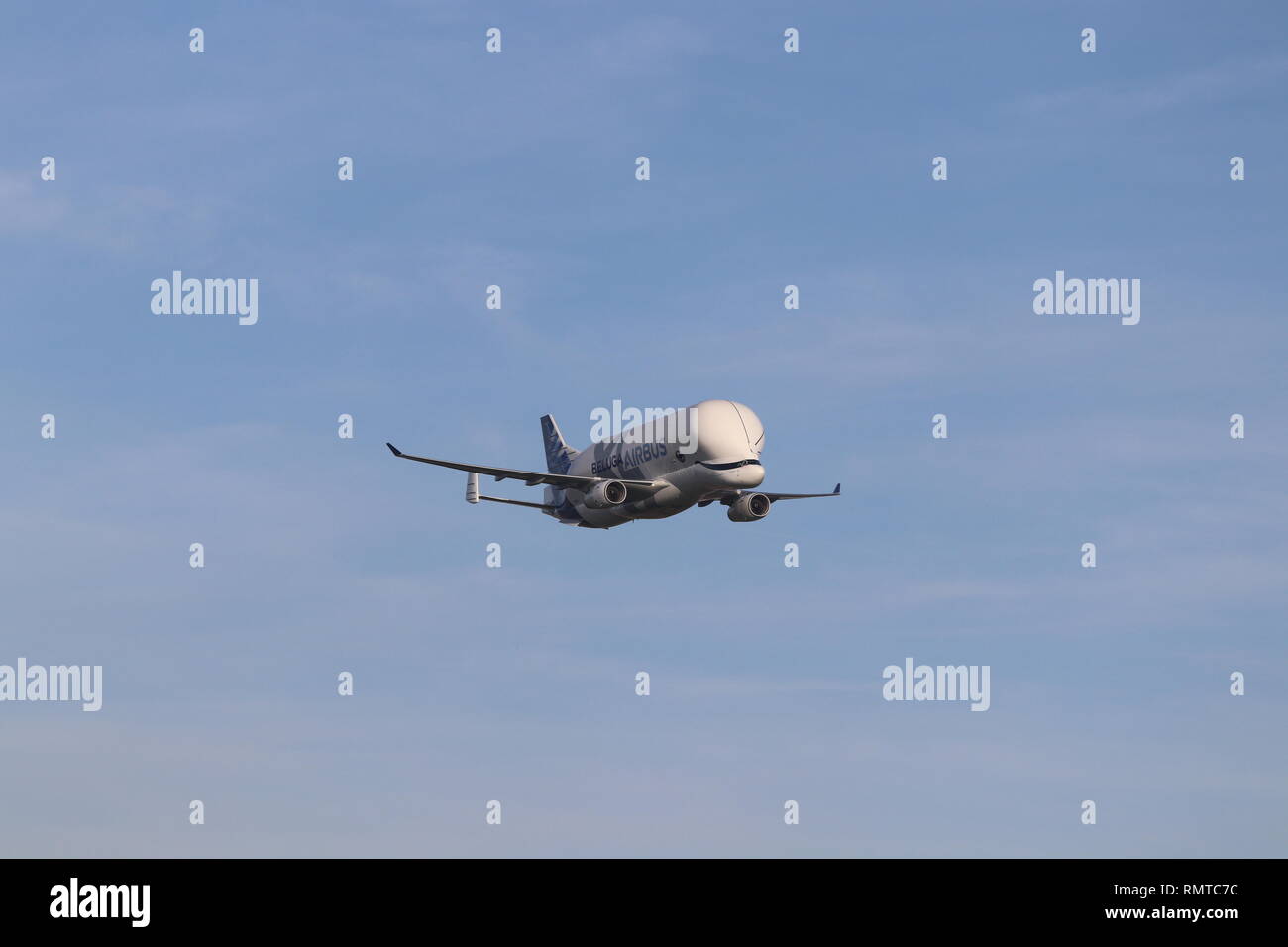 The new Airbus Beluga XL lands in North Wales for the first time, the ...
