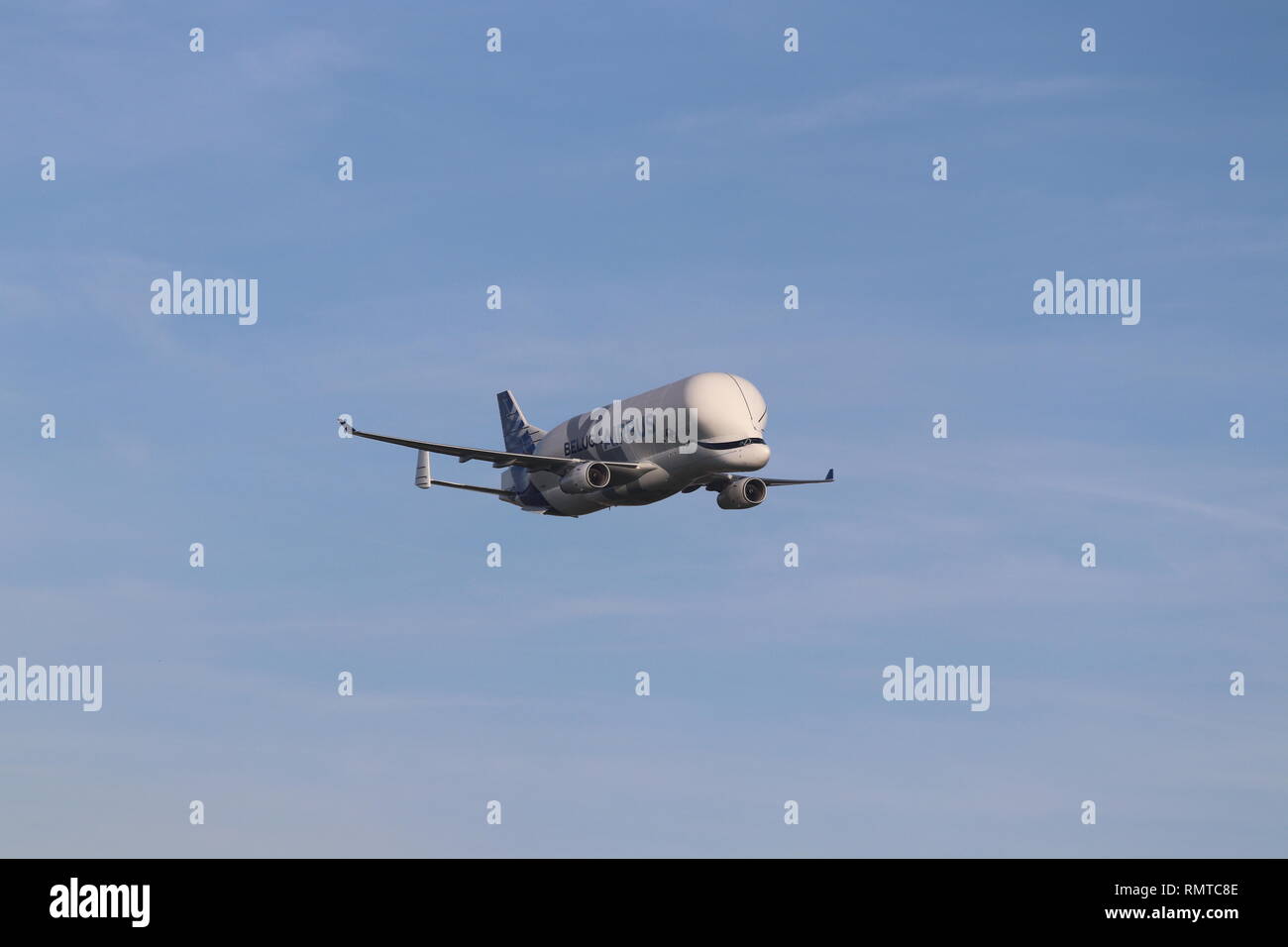 The new Airbus Beluga XL lands in North Wales for the first time, the ...