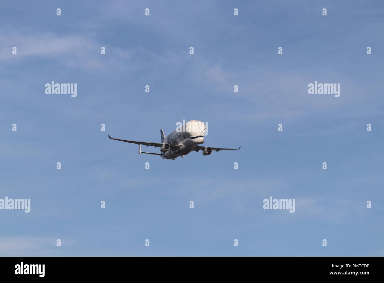 The new Airbus Beluga XL lands in North Wales for the first time, the ...
