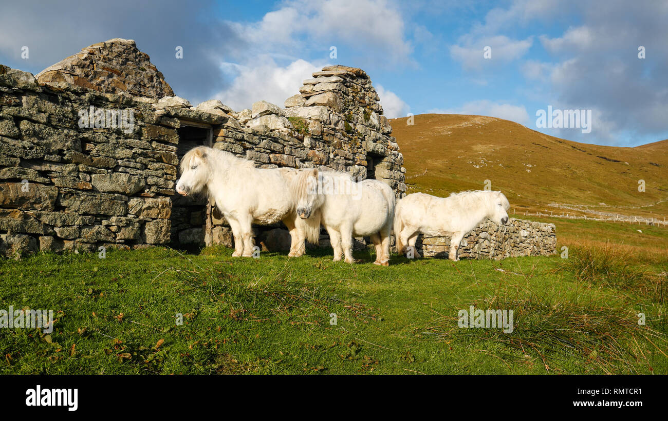 Old croft shetland hi-res stock photography and images - Alamy