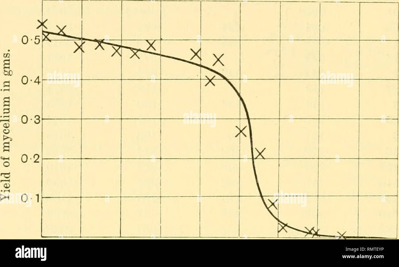 Cotton wool plugs hi-res stock photography and images - Alamy