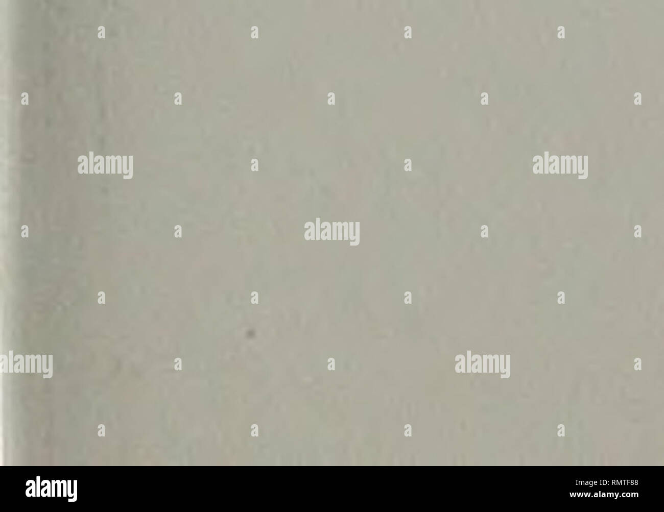 Preopercular spine hi-res stock photography and images - Alamy