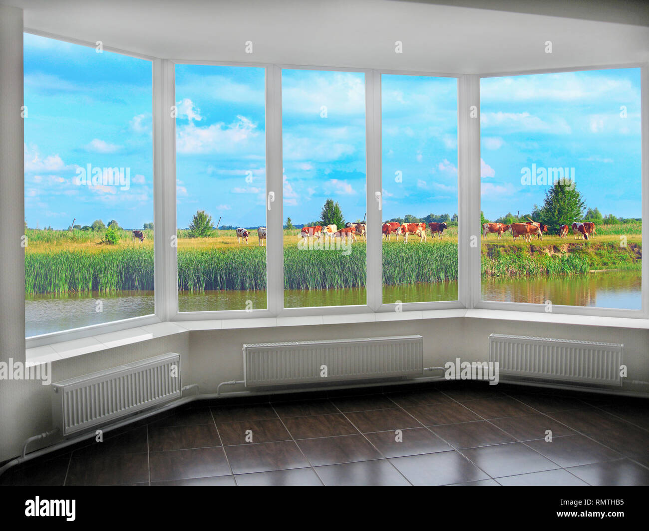Window with view to summer lake with grazing cows. Rural view. Panorama ...