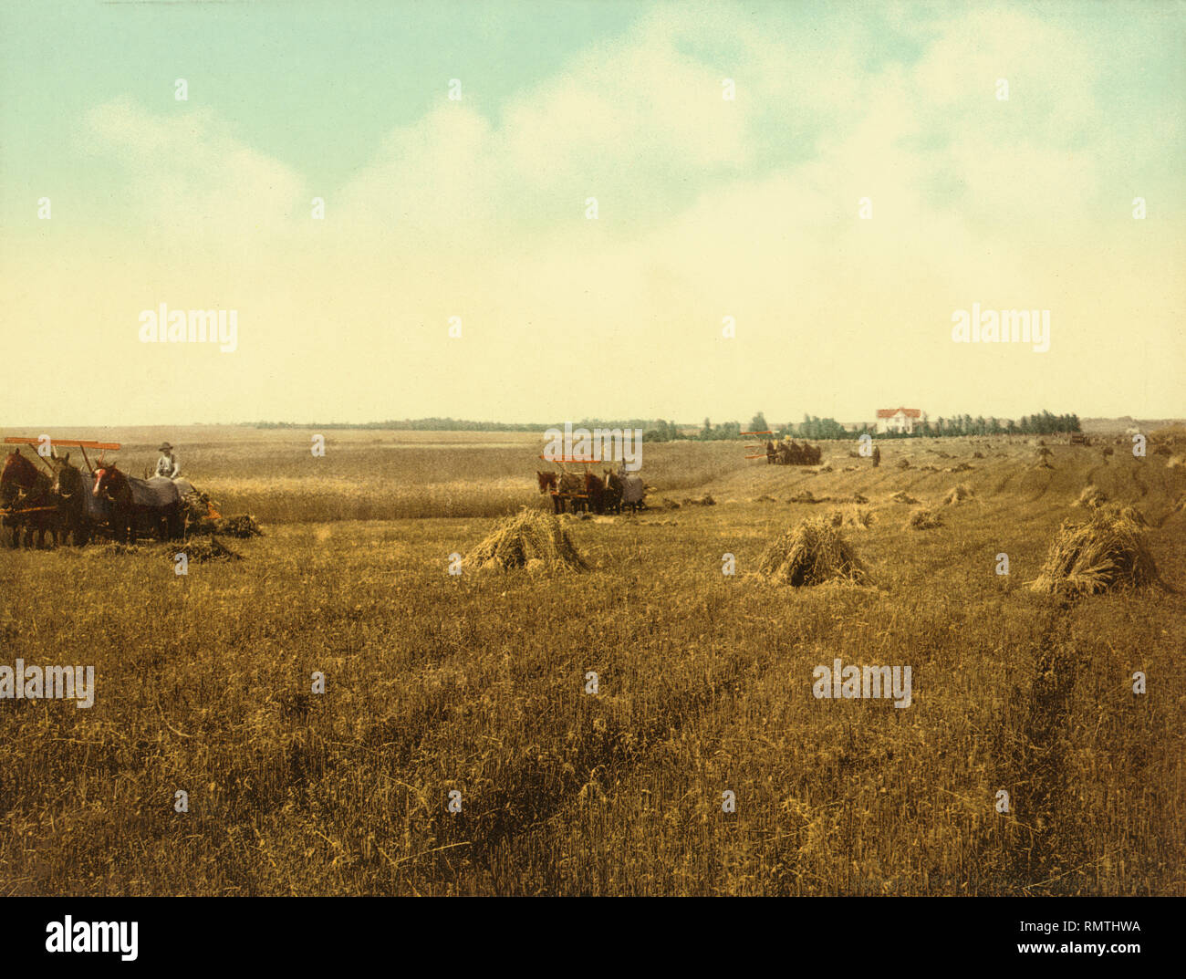 1890s agriculture hi-res stock photography and images - Alamy