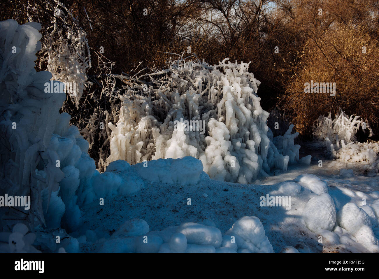Frozen ice tree in the winter. The parts of the tree Stock Photo - Alamy