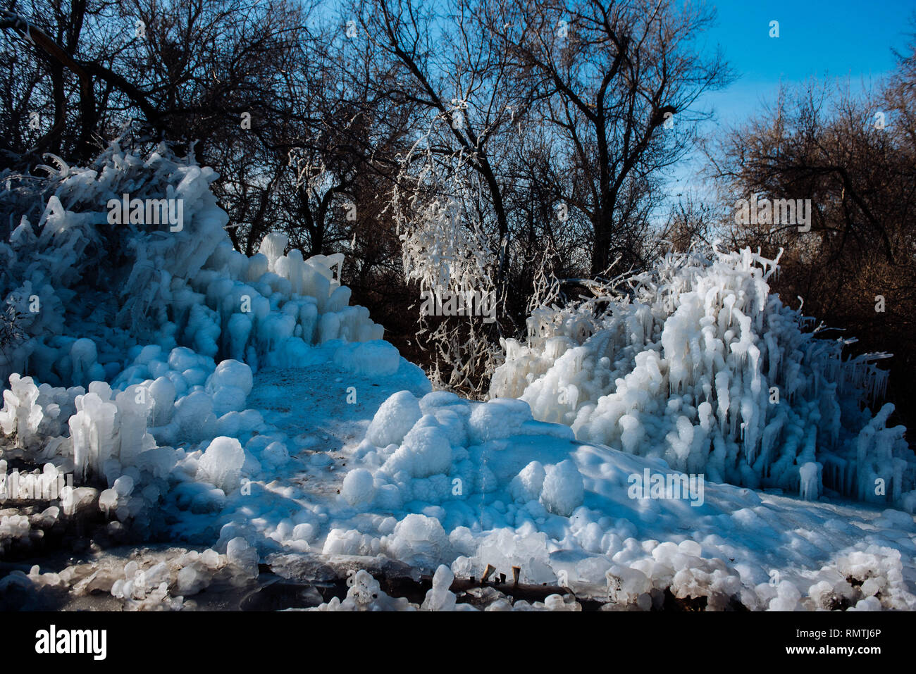 Frozen ice tree in the winter. The parts of the tree Stock Photo - Alamy