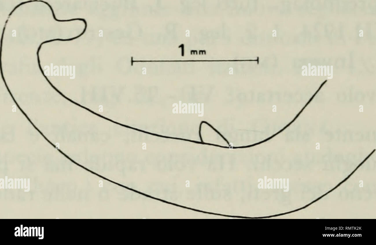 Della lind hi-res stock photography and images - Alamy