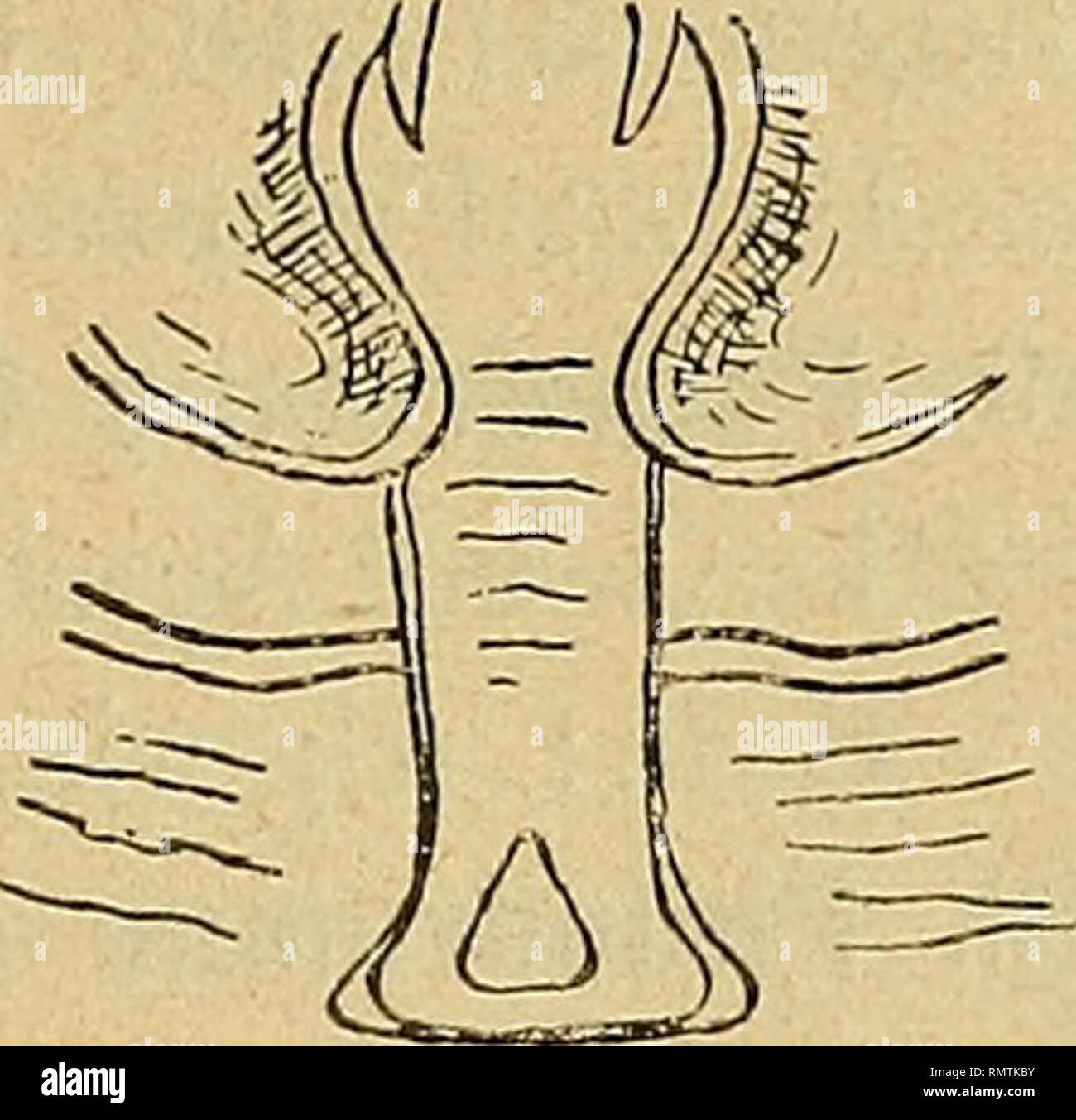 Meditie hi-res stock photography and images - Alamy