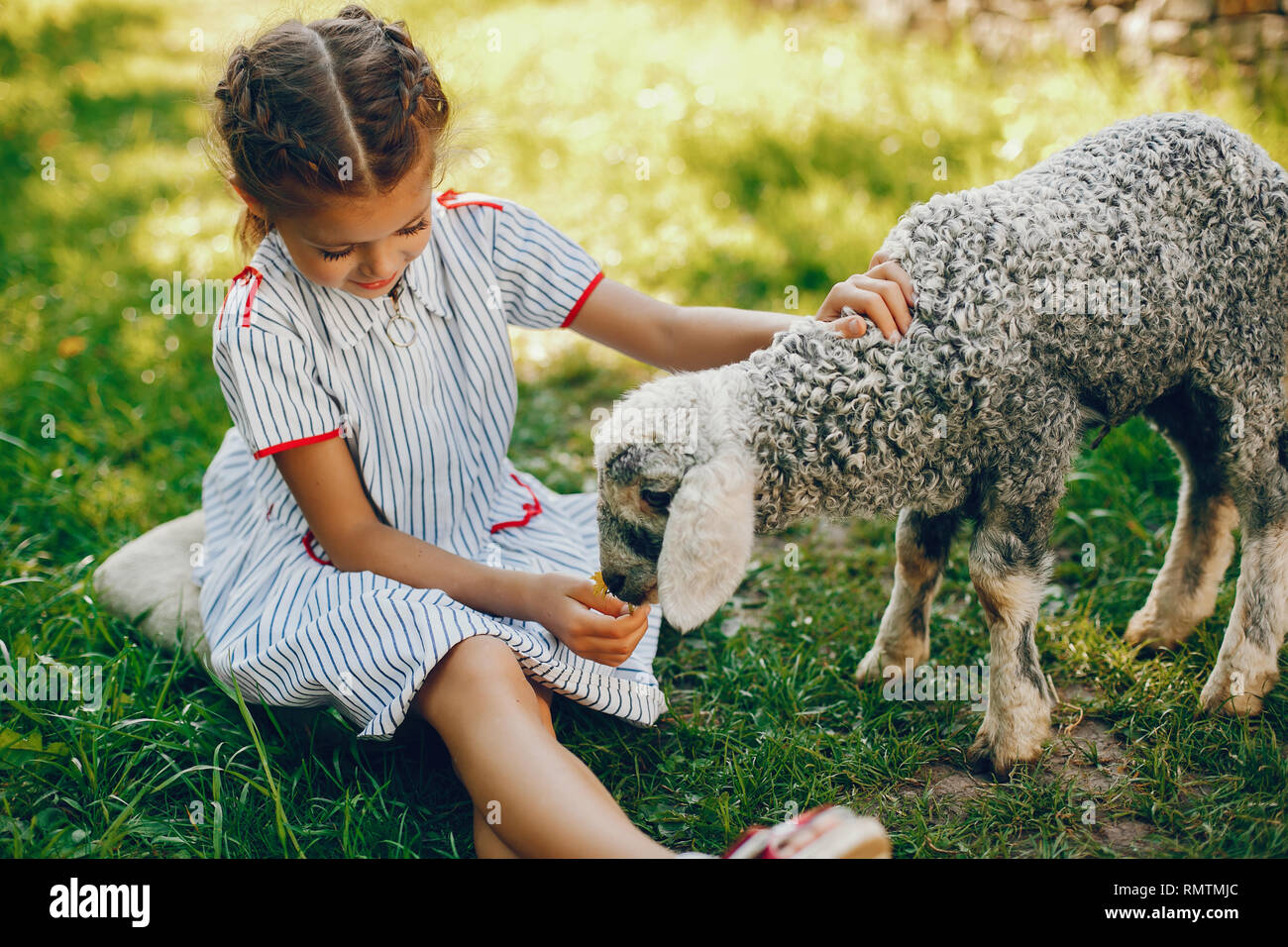 beautiful girl with goat Stock Photo - Alamy