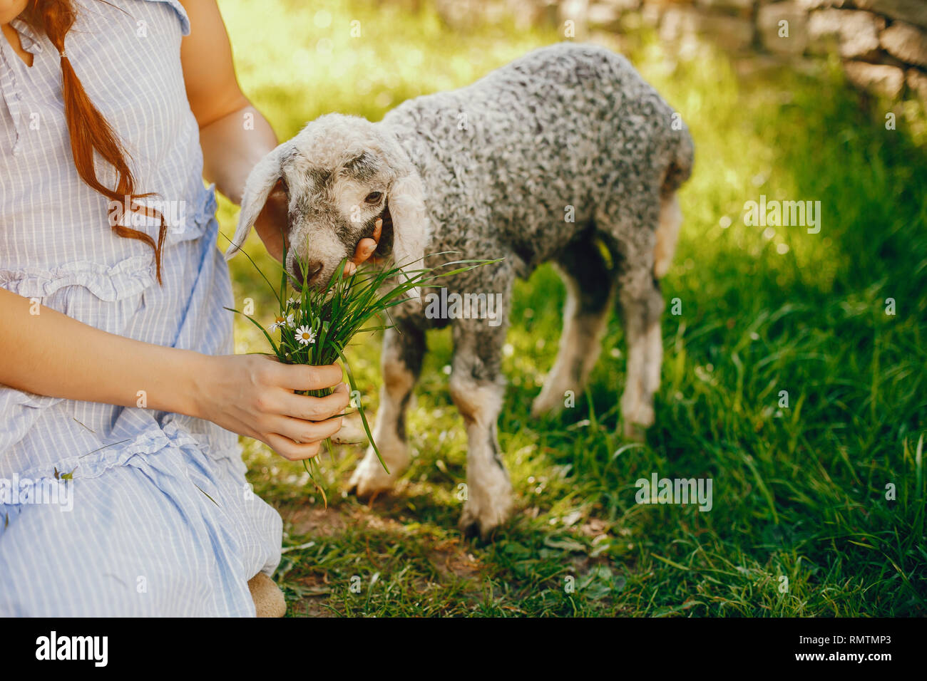 beautiful girl with goat Stock Photo - Alamy