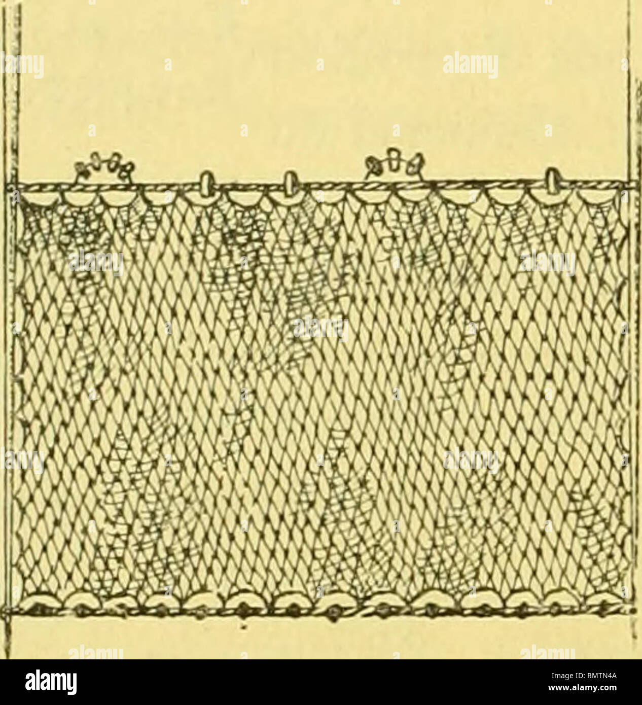 Ramasser le poisson dans le filet hi-res stock photography and images ...