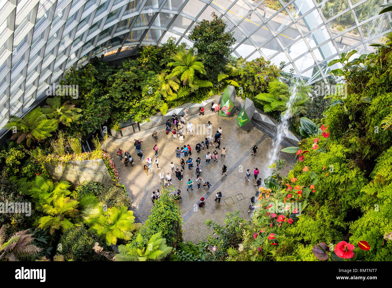 Cloud Forest, Gardens by the Bay, Singapore Stock Photo - Alamy