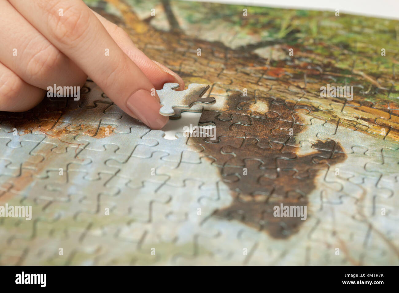 Collect puzzles hi-res stock photography and images - Alamy