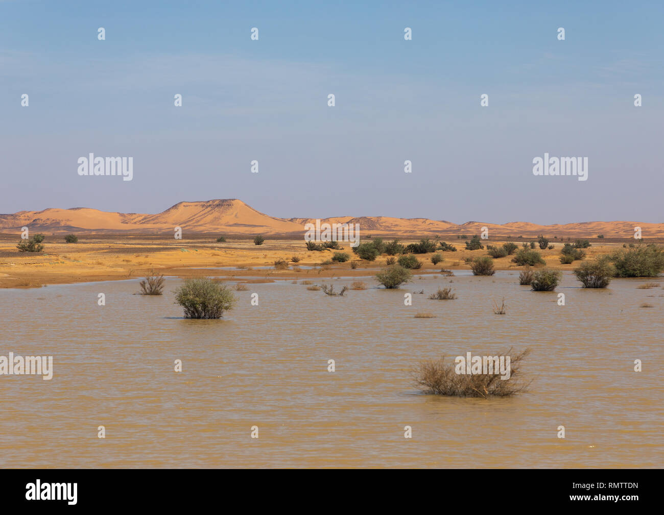 Lake in the desert, Nubia, Old Dongola, Sudan Stock Photo - Alamy