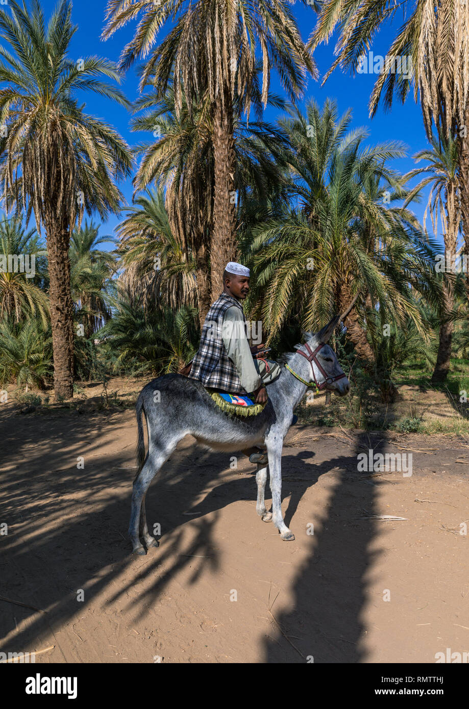 Man riding a donkey hi-res stock photography and images - Alamy