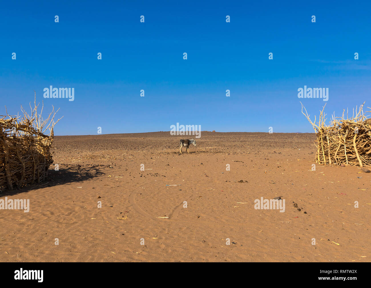 Bedouin village in Bayoda desert, Northern State, Bayuda desert, Sudan ...