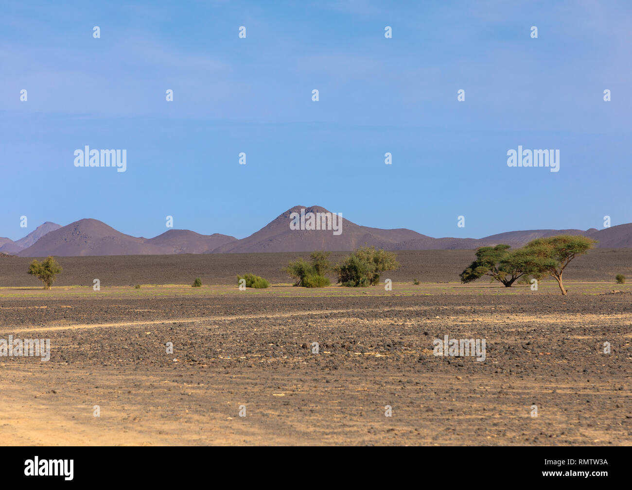 Arid landscape, Northern State, Bayuda desert, Sudan Stock Photo - Alamy