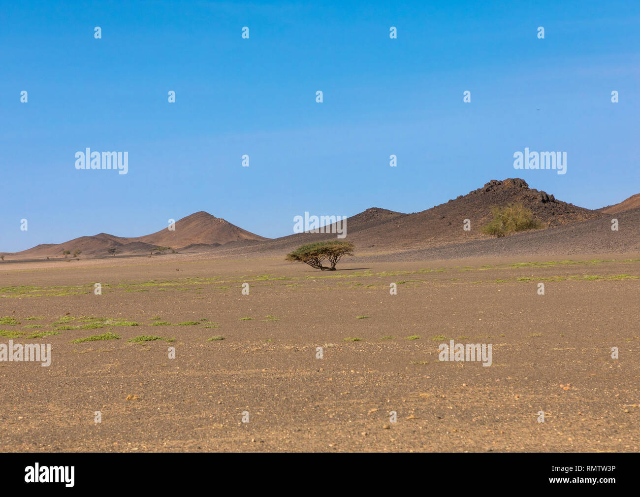 Sudan180810 hi-res stock photography and images - Alamy