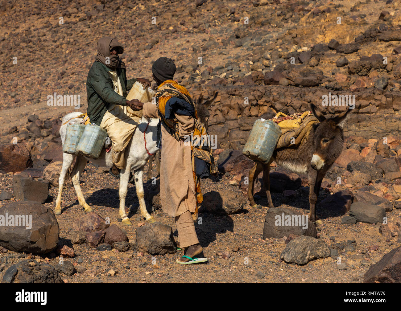 Bisharin nomad men with donkeys collecting salt in Atrun crater, Bayuda ...