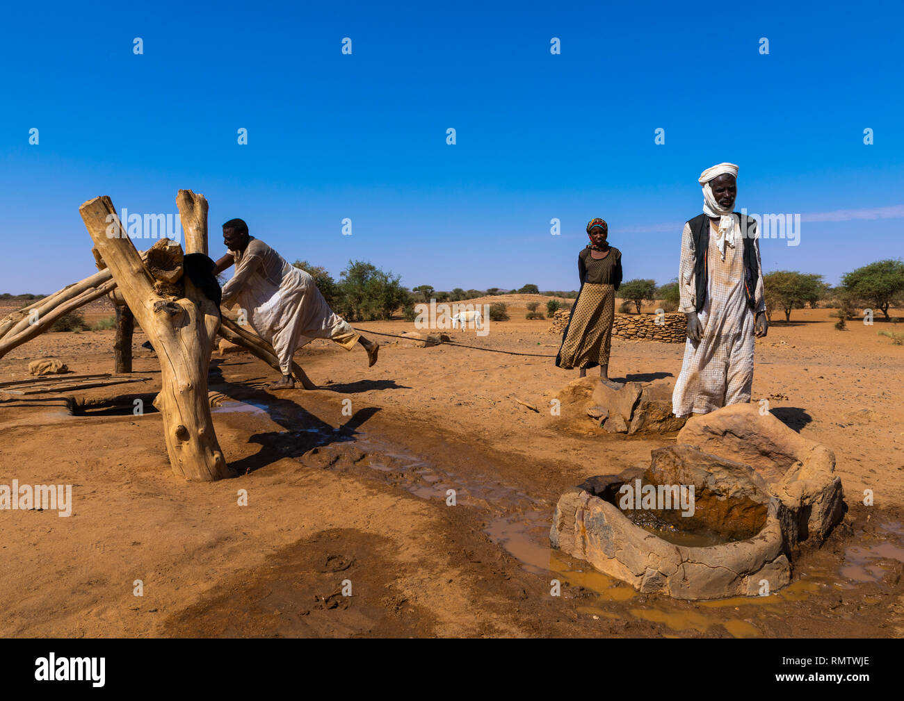 Taking water from a hi-res stock photography and images - Alamy