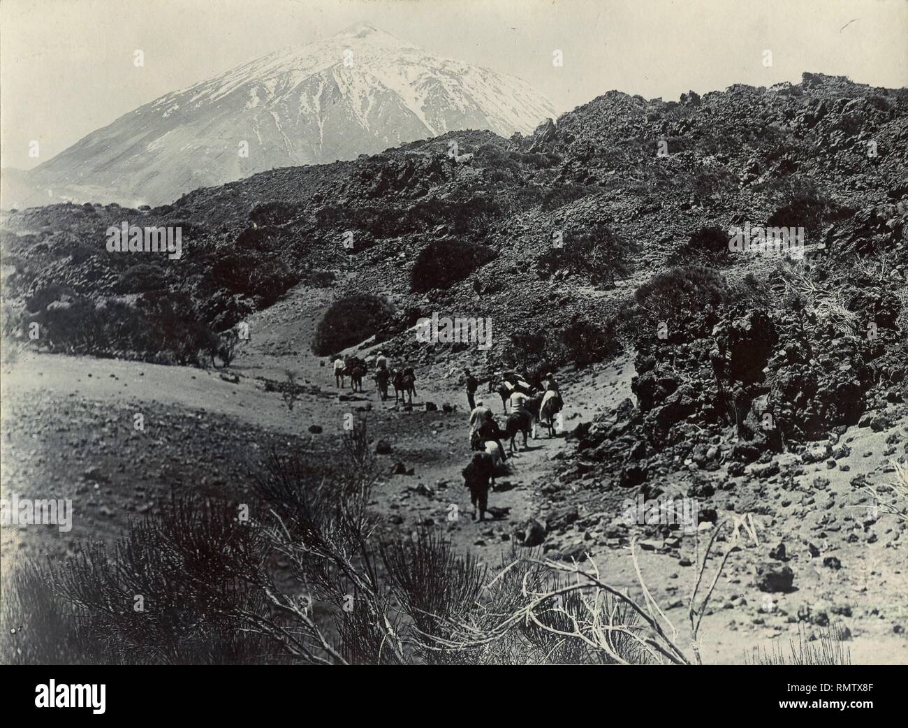 Camino tenerife hi-res stock photography and images - Alamy