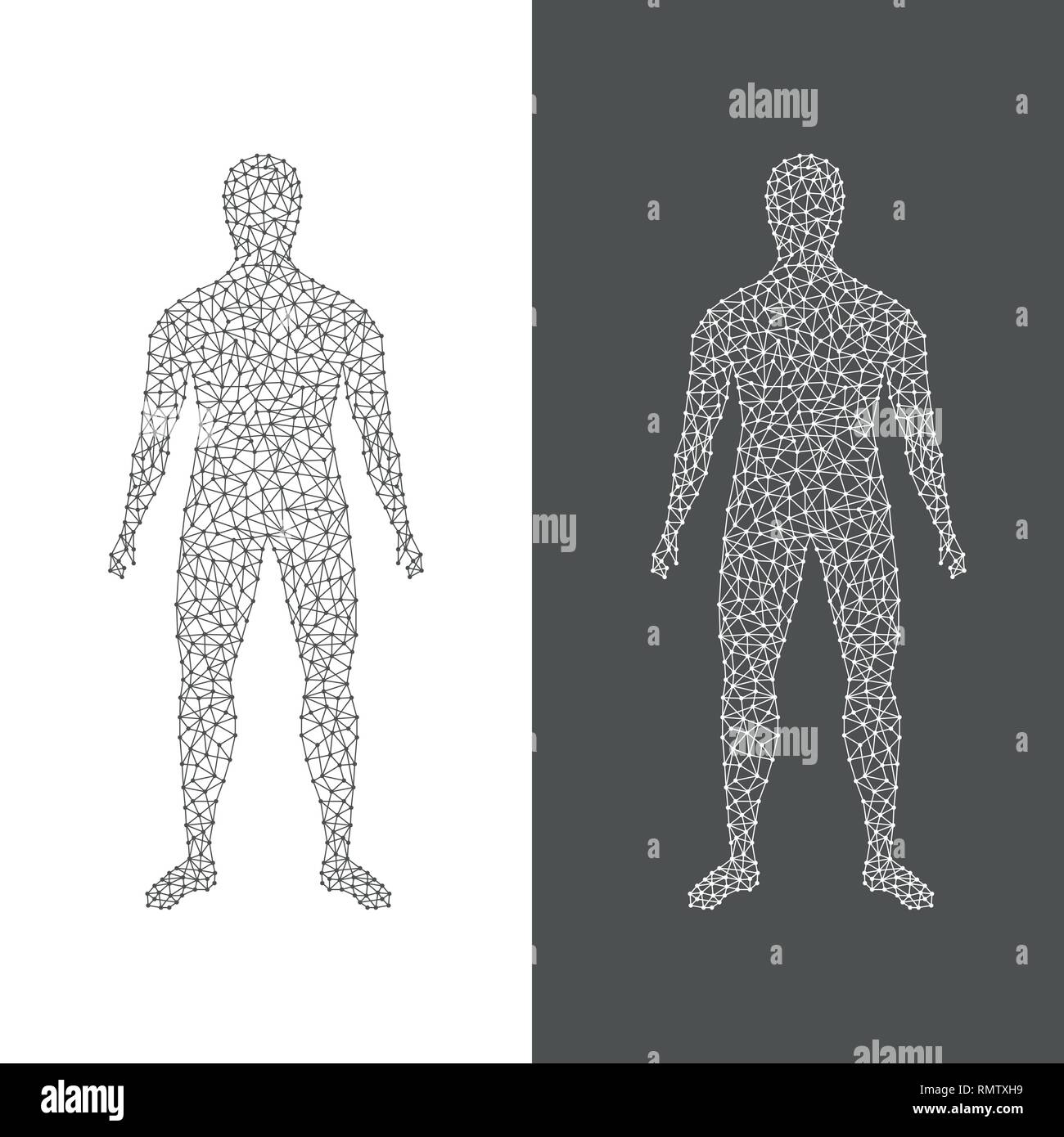 The digital man. Abstract of human body on white and black background ...