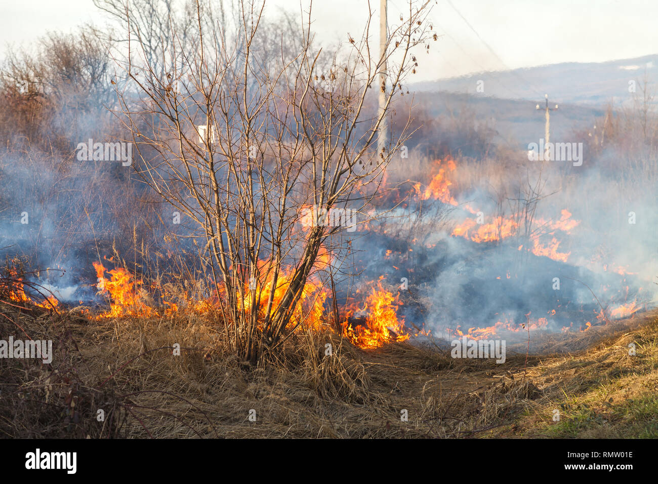 Car burning urban hi-res stock photography and images - Alamy