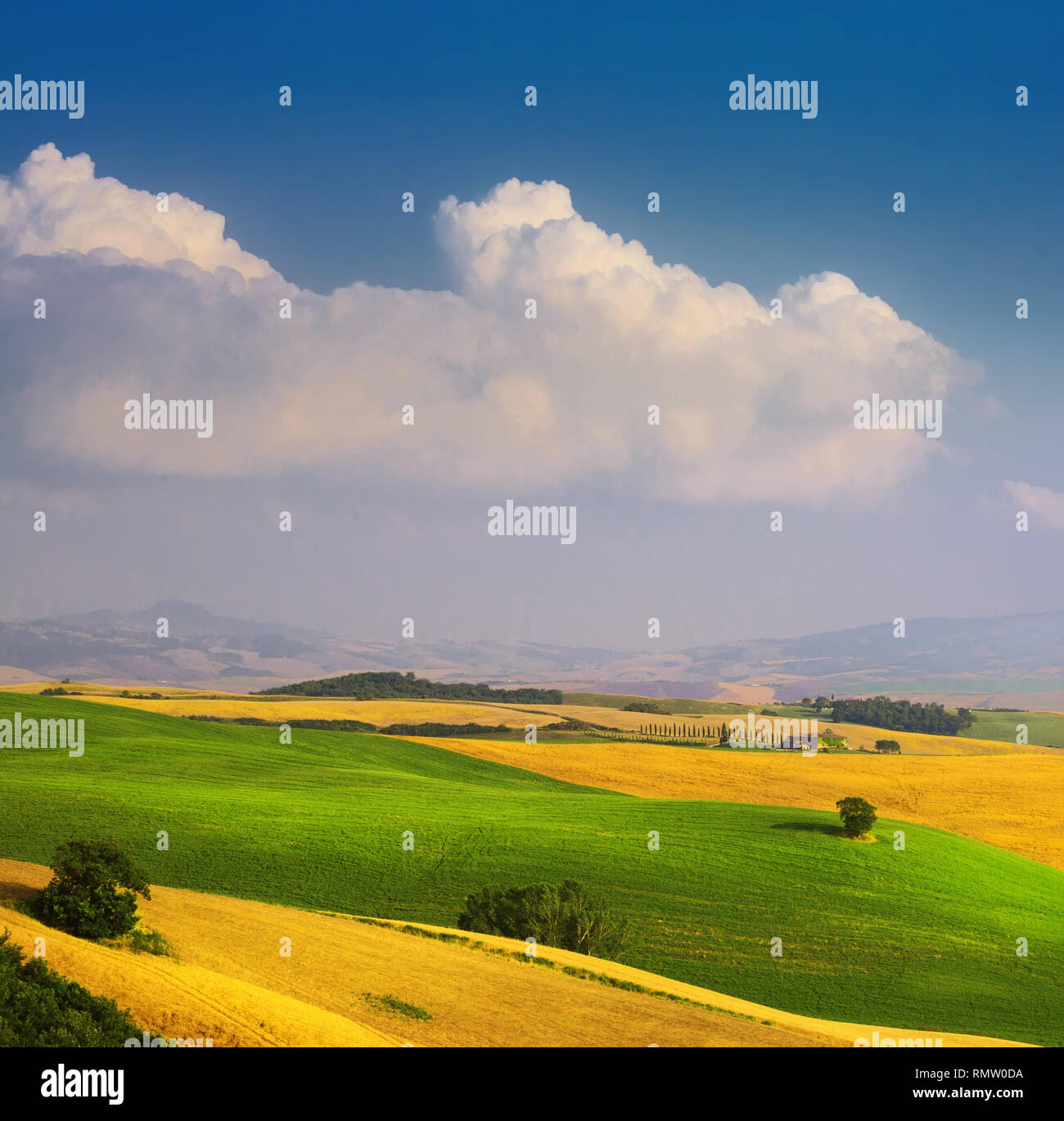 Italian summer countryside landscape – golden and green fields and blue ...