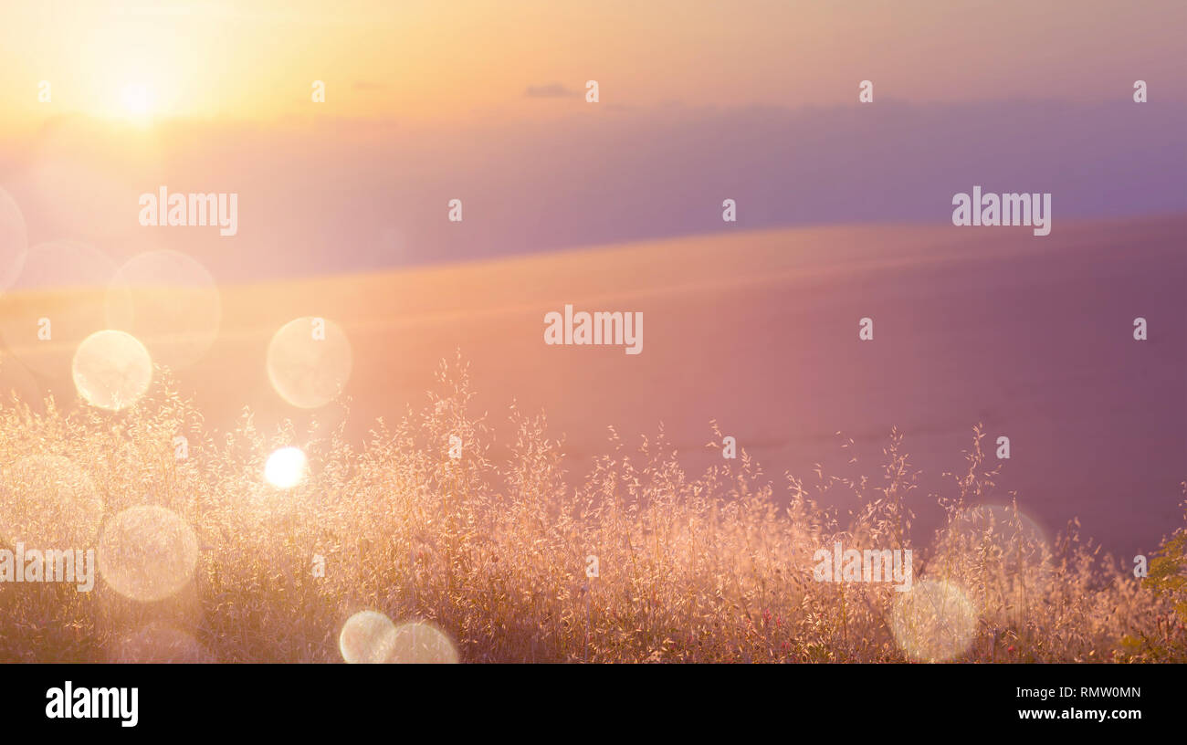Art abstract sunny meadow background Stock Photo - Alamy