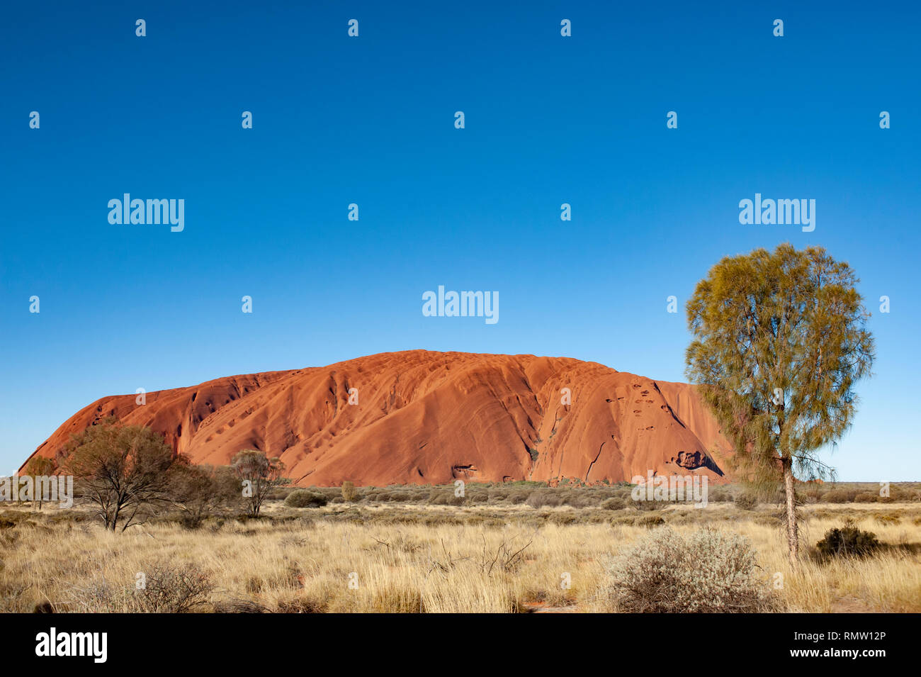 Uluru, Northern Territory, Australia Stock Photo - Alamy