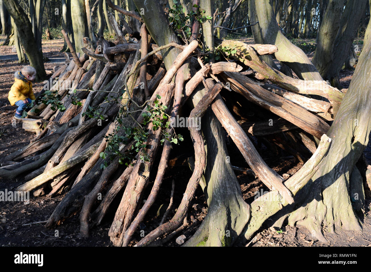 Young boy playing outside learning to build a den in the forest Stock ...