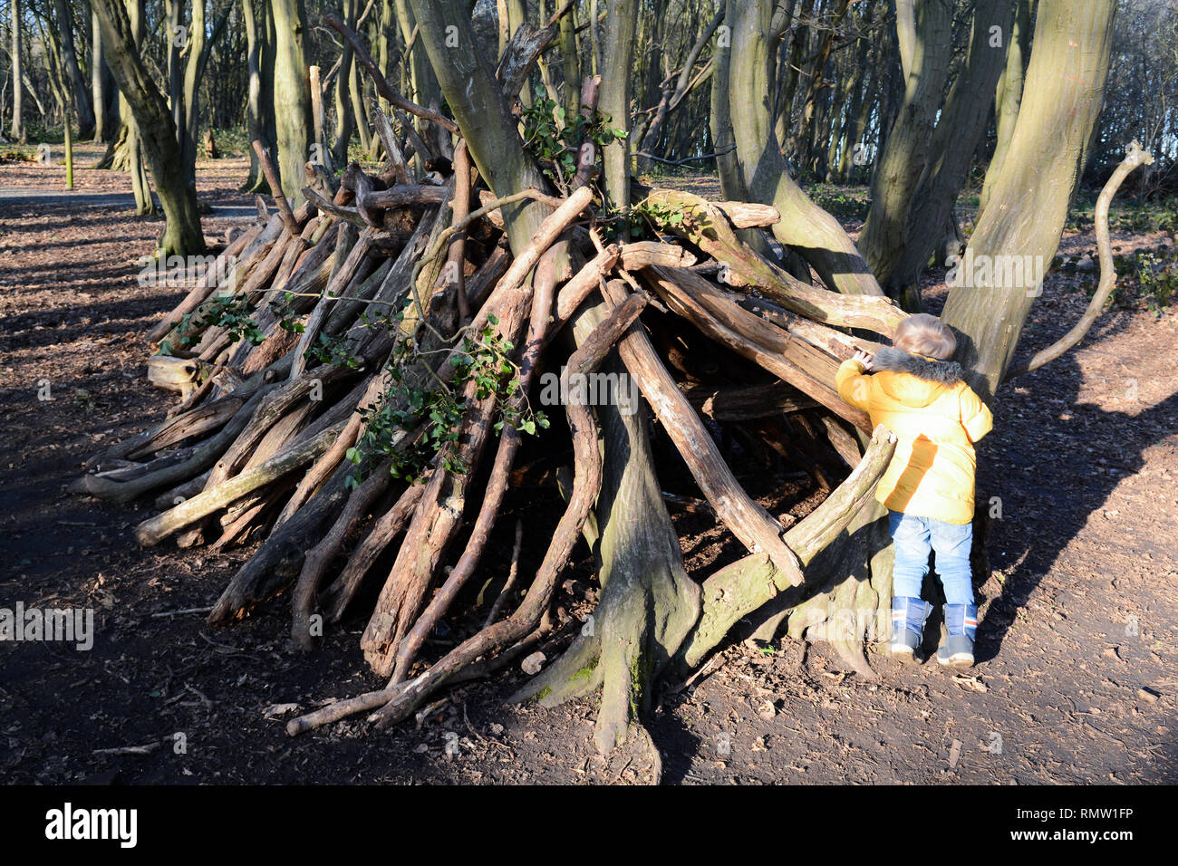 Den building forest hi-res stock photography and images - Alamy