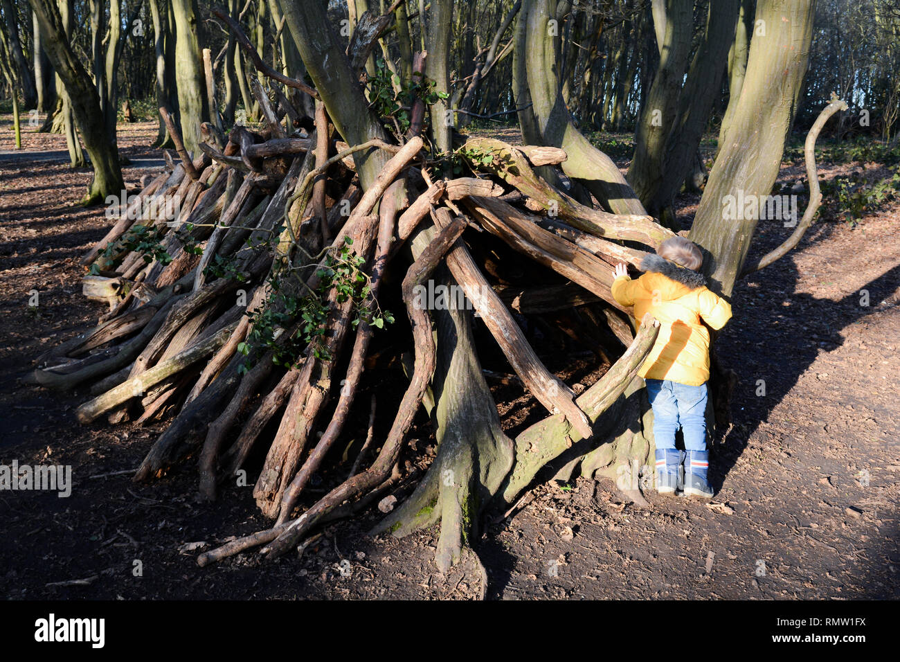 Den building forest hi-res stock photography and images - Alamy