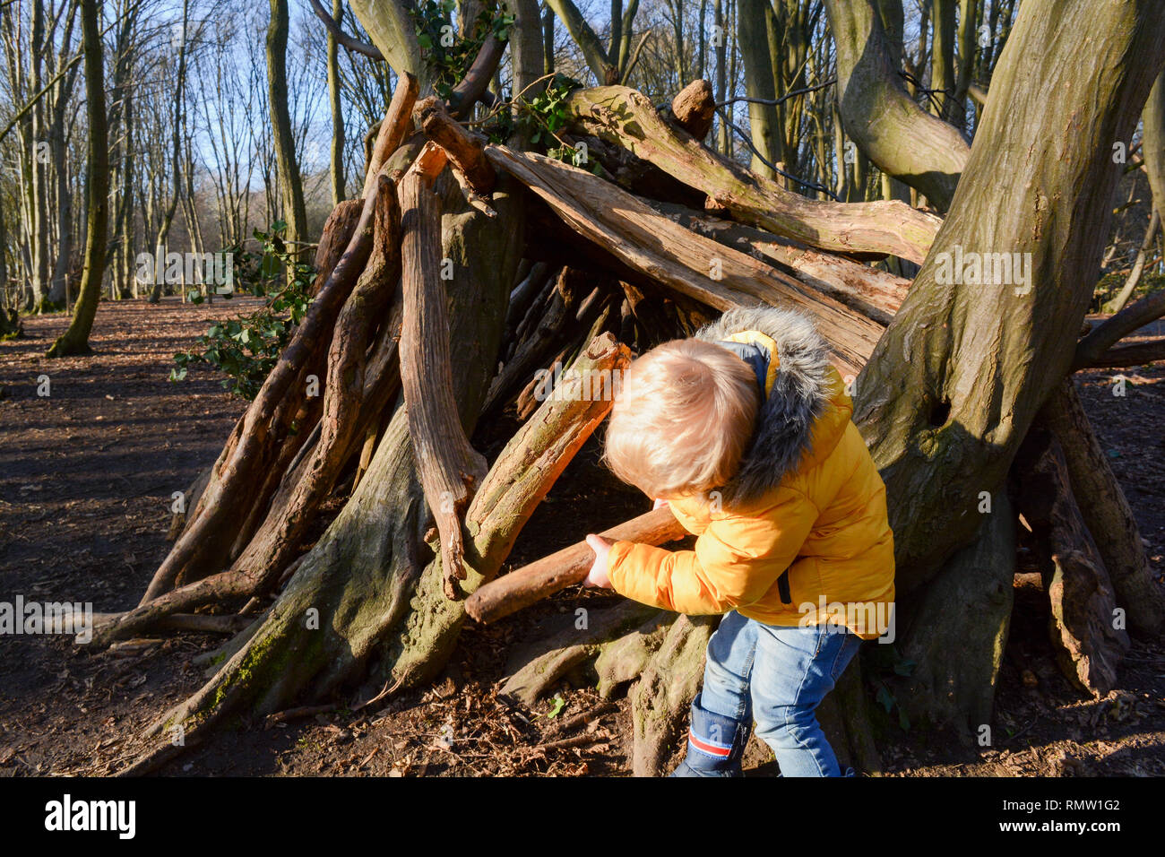 Young boy playing outside learning to build a den in the forest Stock ...