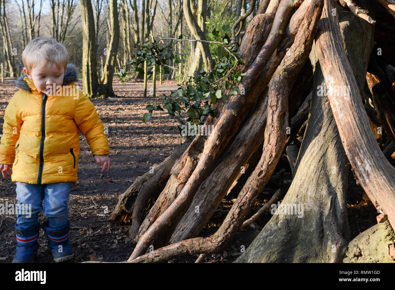 Young boy playing outside learning to build a den in the forest Stock ...