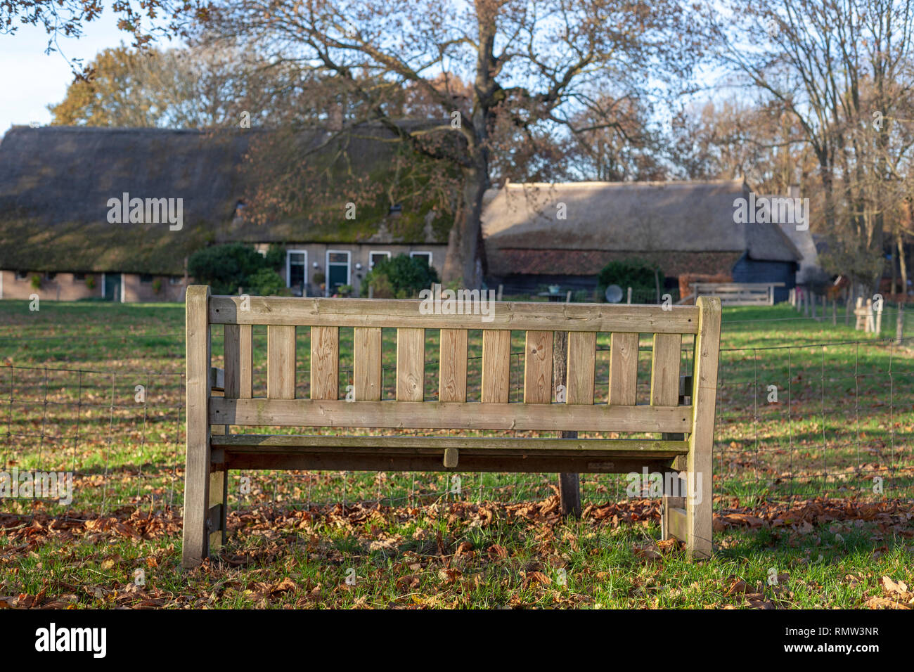Blank Old wooden bench in a shady area of the garden or the park ...