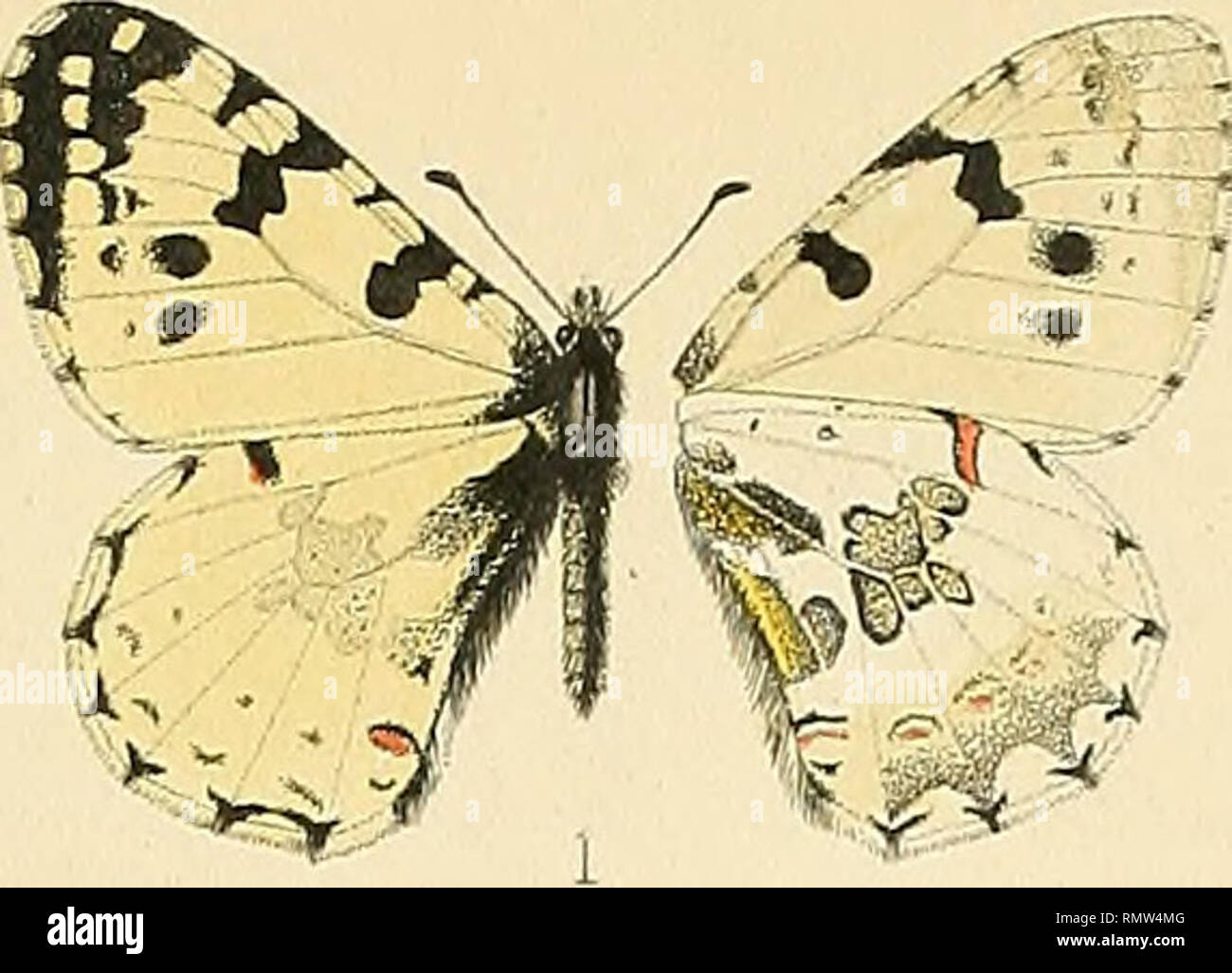 Leroux 1924 hi-res stock photography and images - Alamy
