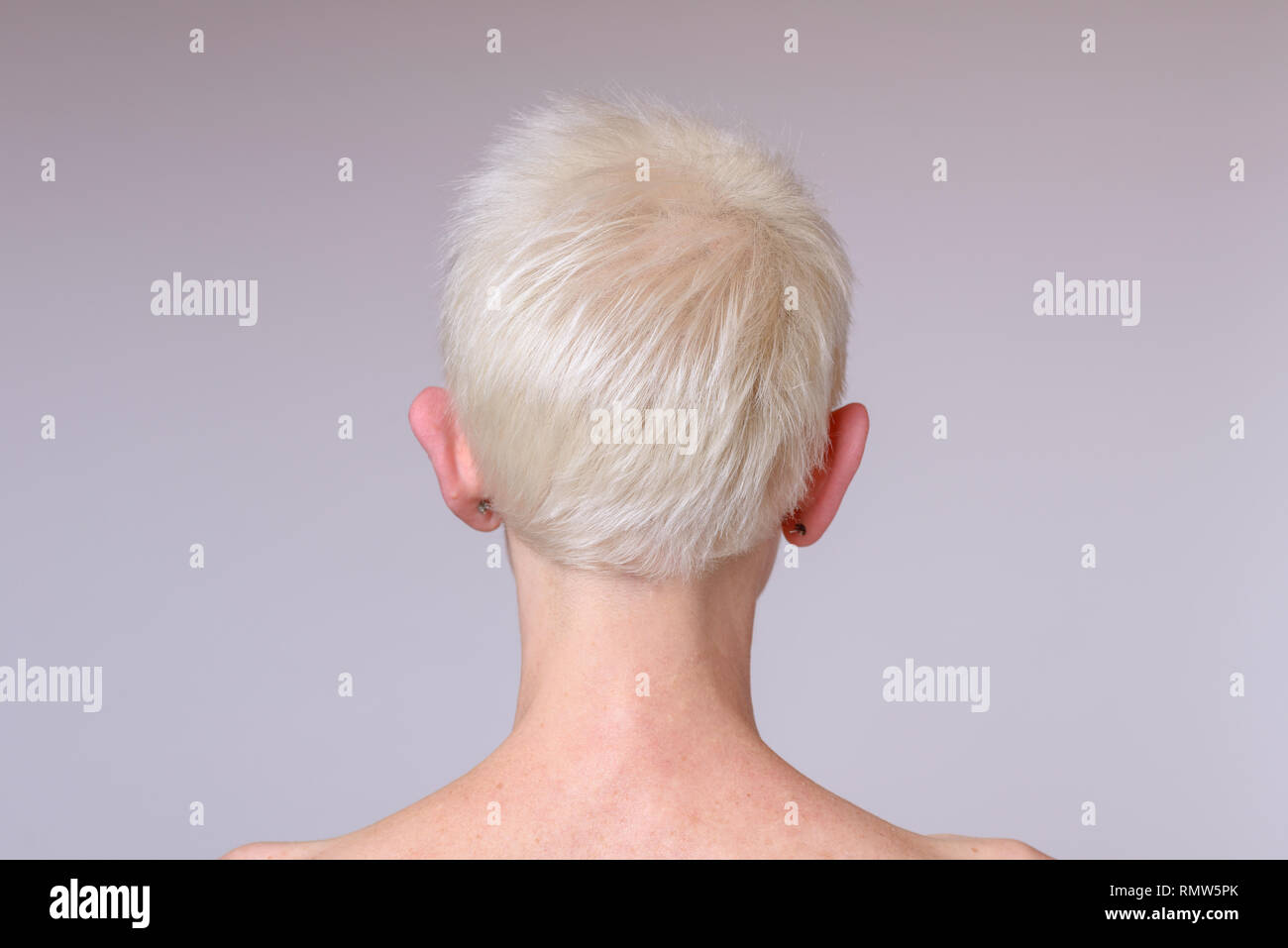 Occiput hi-res stock photography and images - Alamy