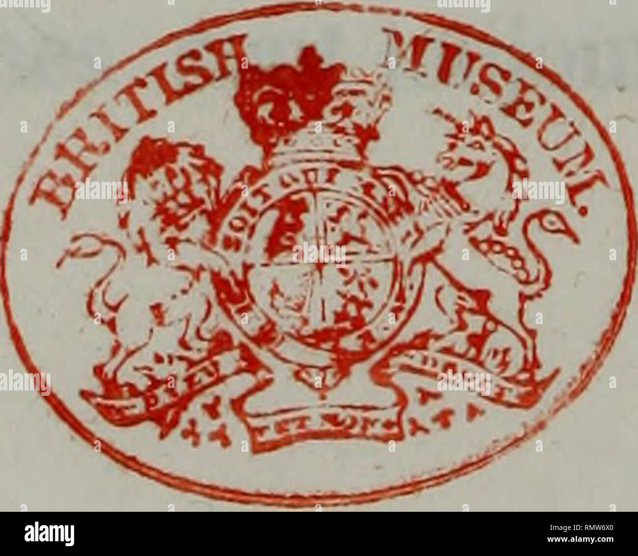 Planta monoica hi-res stock photography and images - Alamy