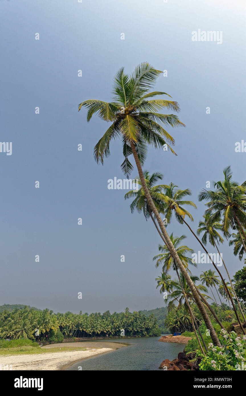 Khavane beach, sindhudurg, Maharashtra, India, Asia Stock Photo - Alamy