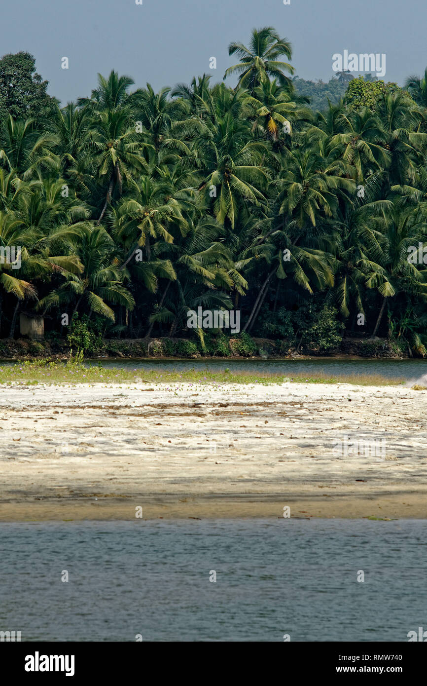Khavane beach, sindhudurg, Maharashtra, India, Asia Stock Photo - Alamy