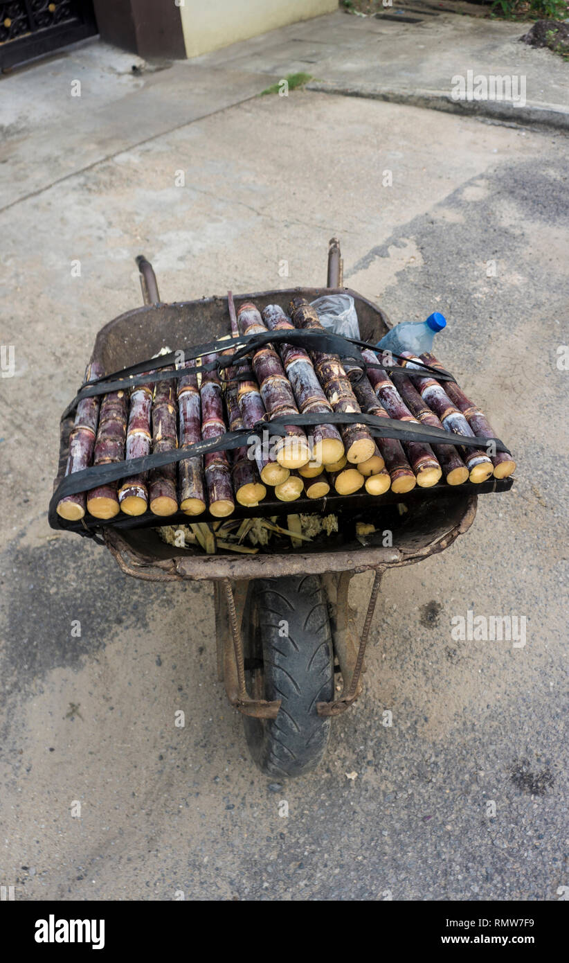 A retail Sugar Cane cart on the street of Lagos Stock Photo - Alamy