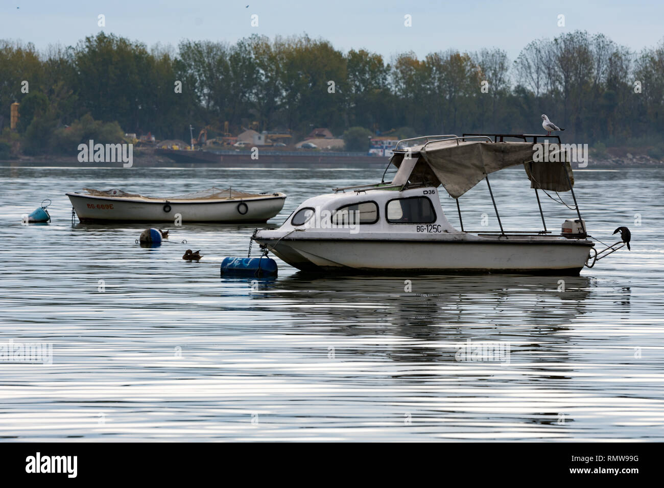 Old boats on the Danube river near Zemun quay Stock Photo - Alamy