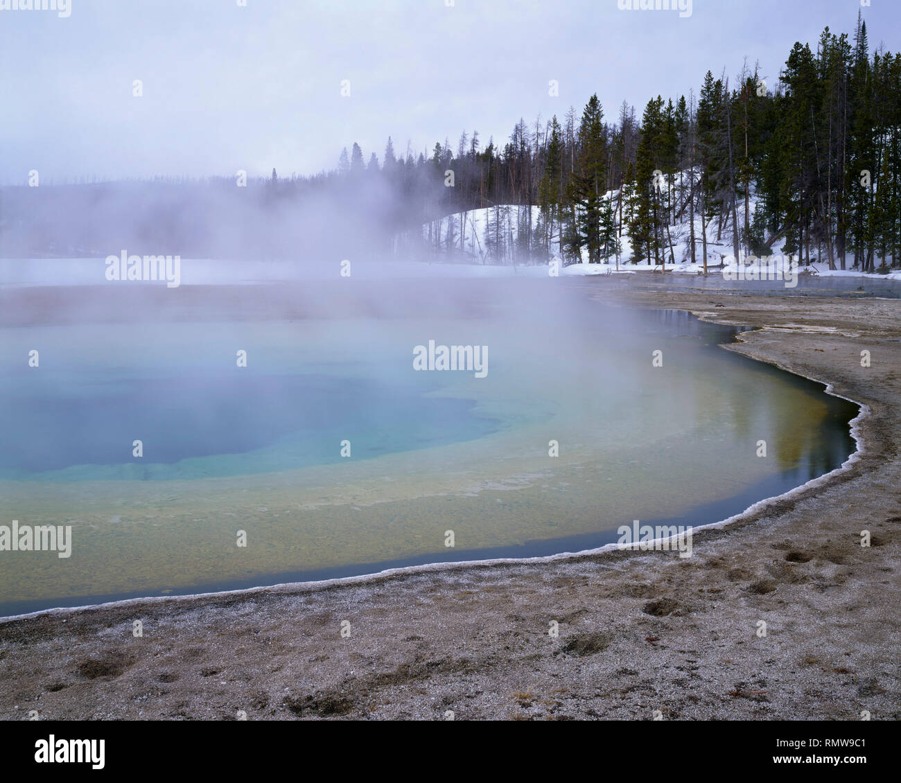 USA, Wyoming, Yellowstone National Park, Morning Glory Pool, and ...