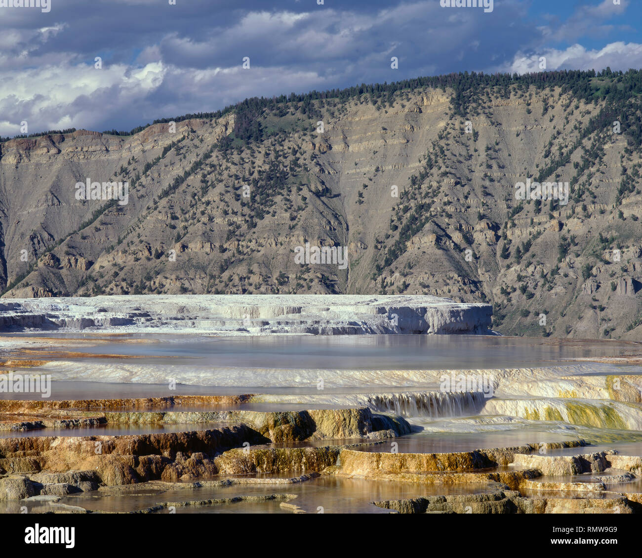 Canary springs in yellowstone hi-res stock photography and images - Alamy