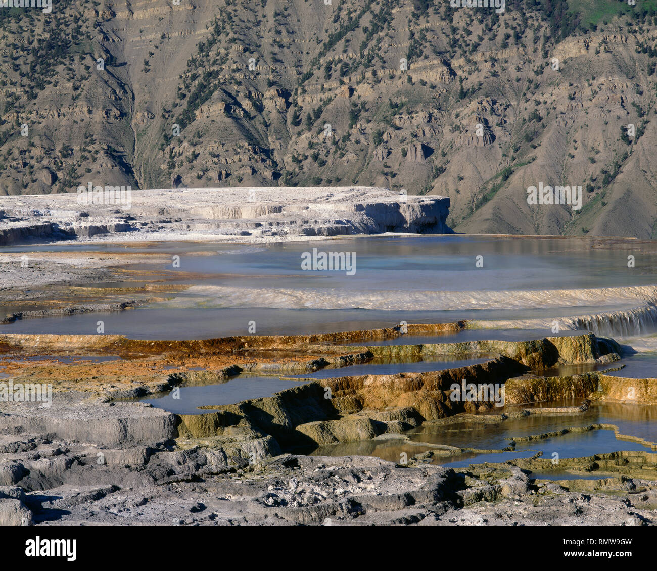 USA, Wyoming, Yellowstone National Park, Terraces of Canary Springs ...