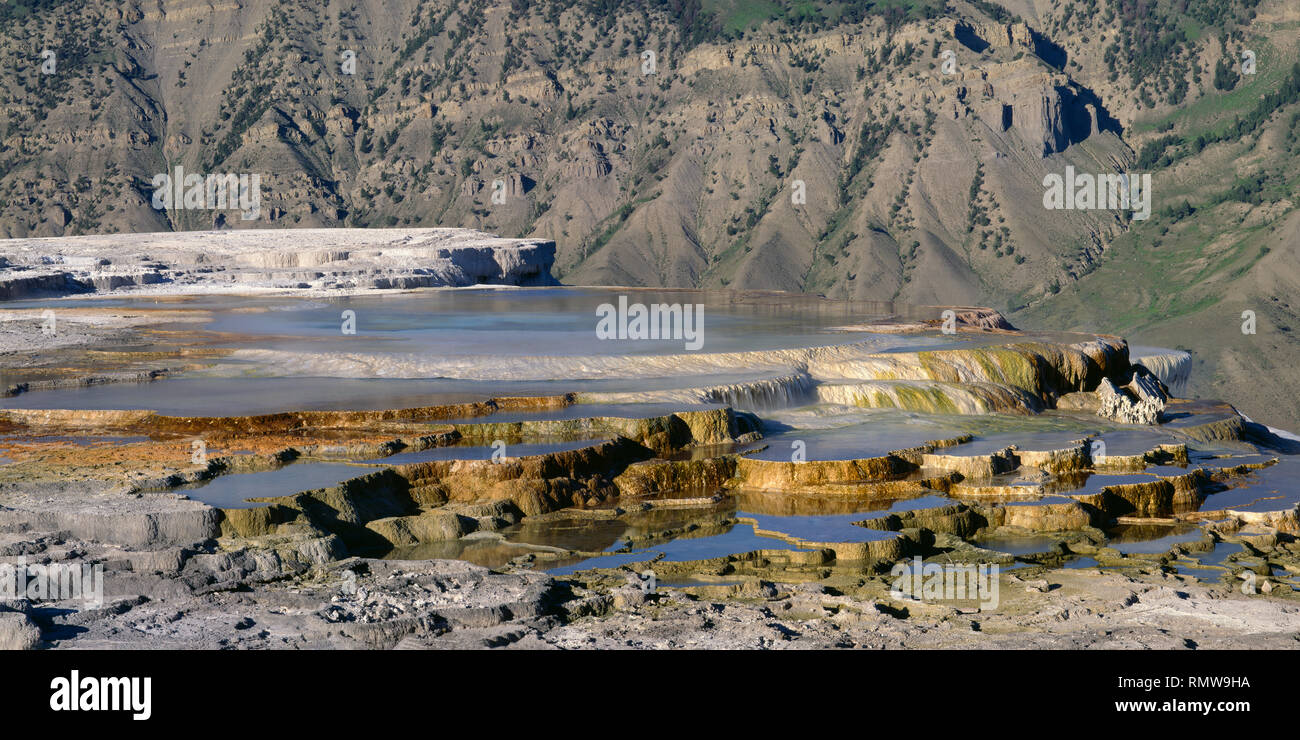 USA, Wyoming, Yellowstone National Park, Terraces of Canary Springs ...