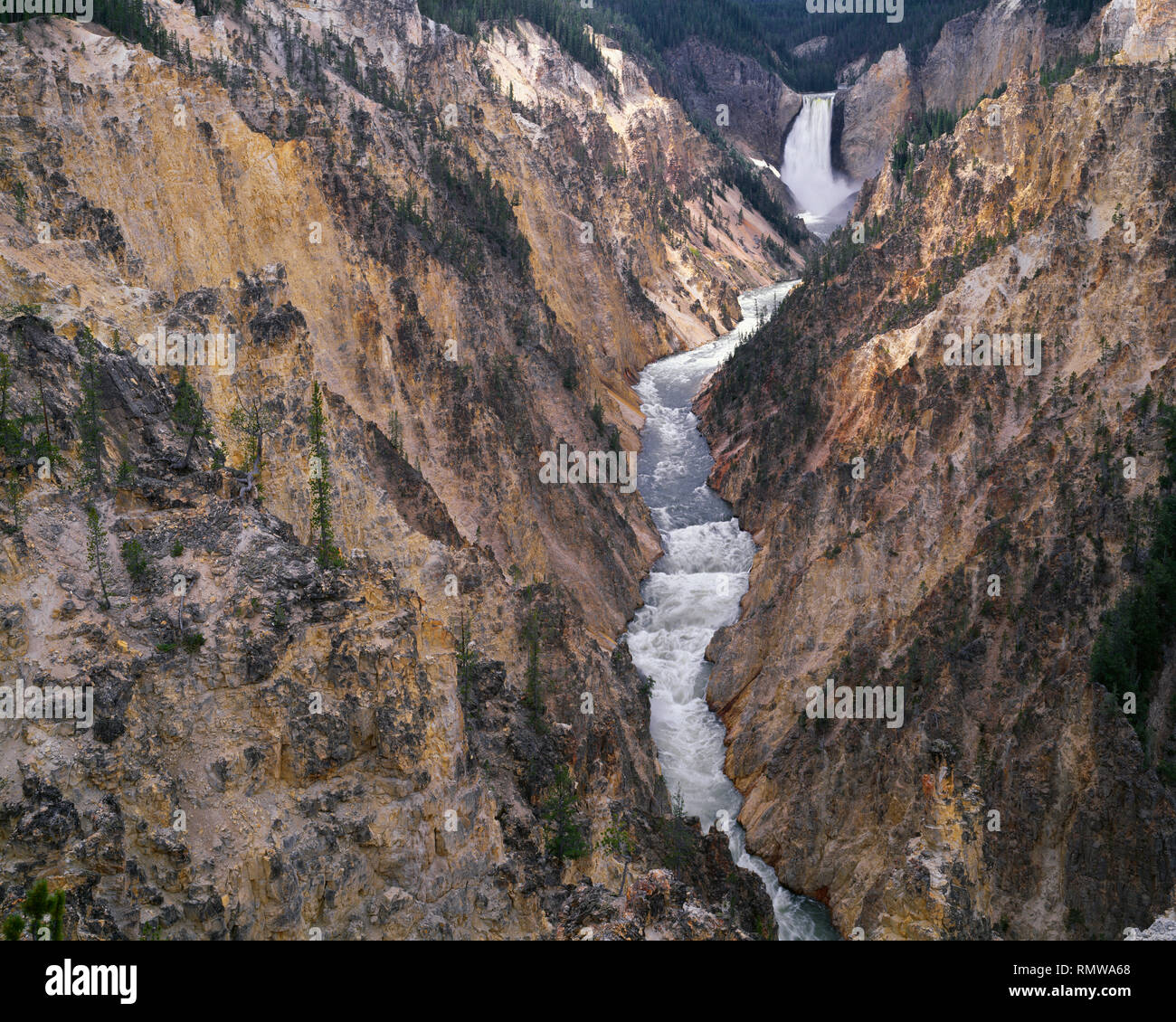 USA, Wyoming, Yellowstone National Park, Lower Falls and Grand Canyon ...